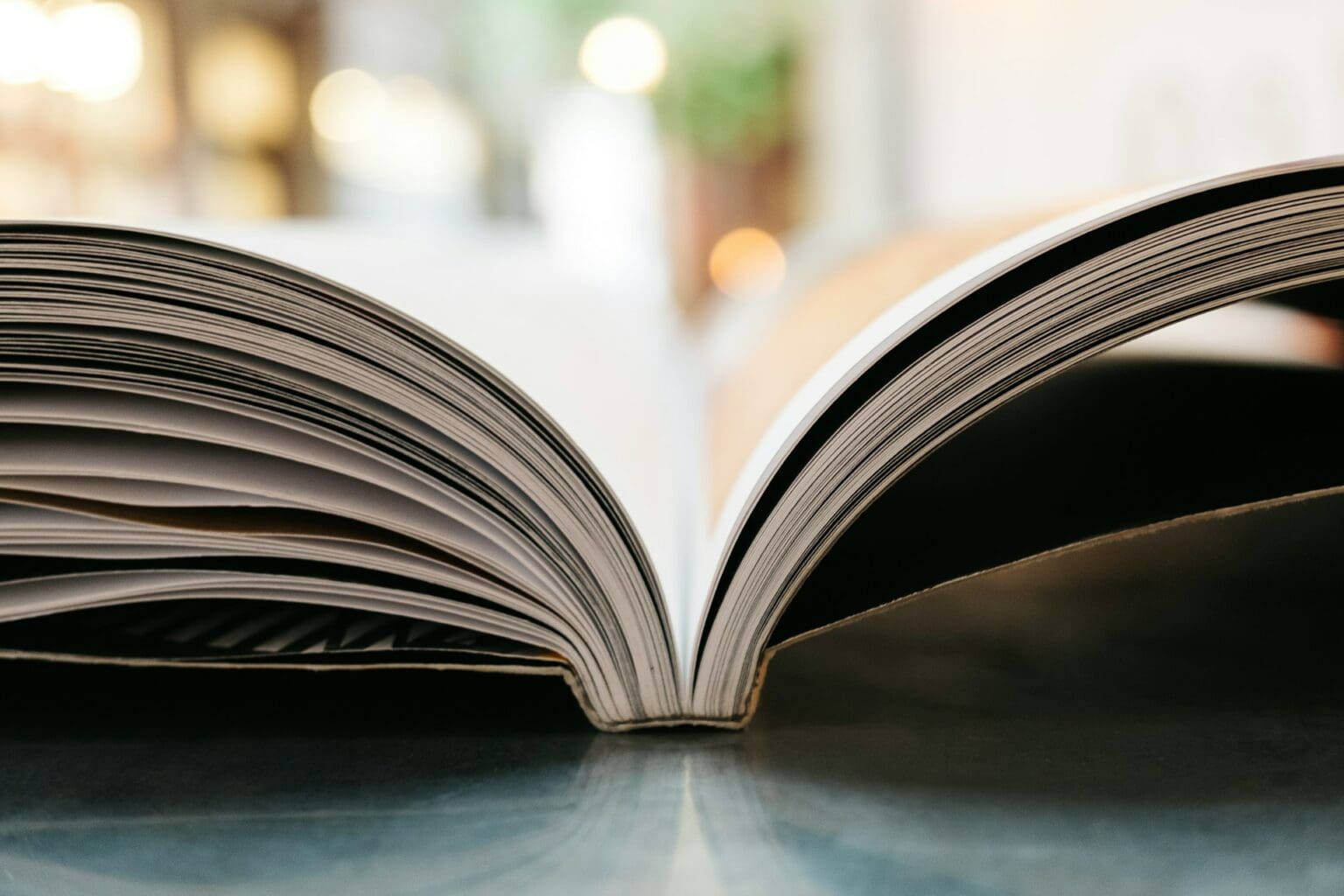 AHA State History Standards Support - AHA